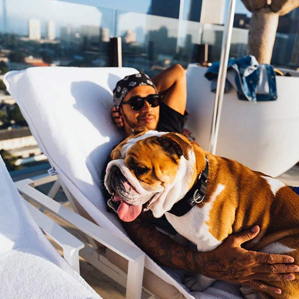 10 Famous UK Celebrities Who Love Dogs as Much as You Do – AniVatio